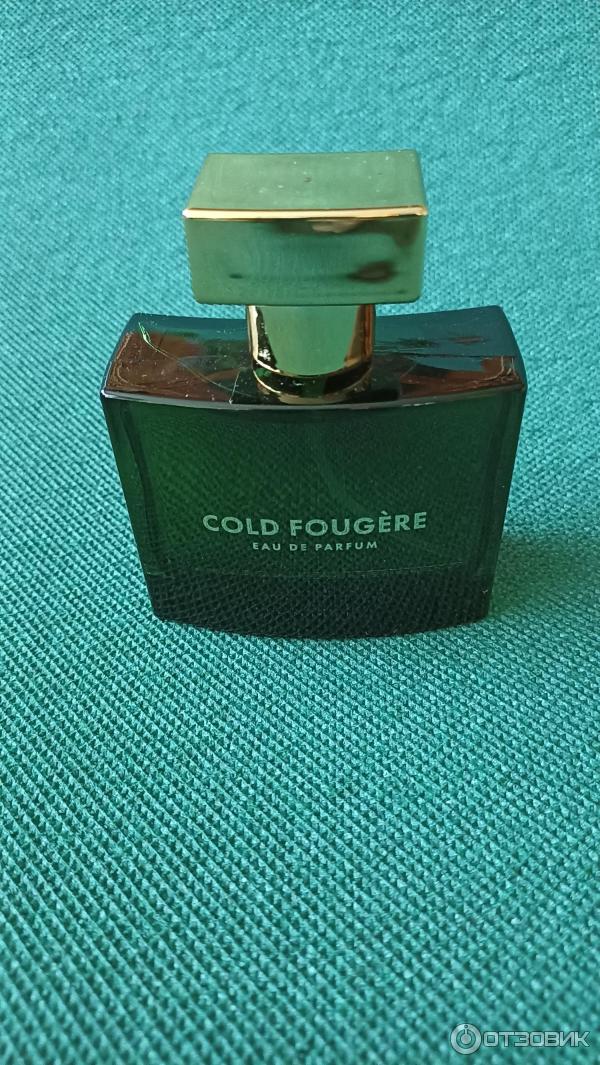 Отзыв о Парфюмерная вода Dilis Parfum Cold Fougere | Холодный фужер? Да ...