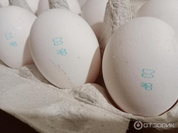 Отзыв о Яйца куриные пищевые Птицефабрика Яратель "Отборные ...