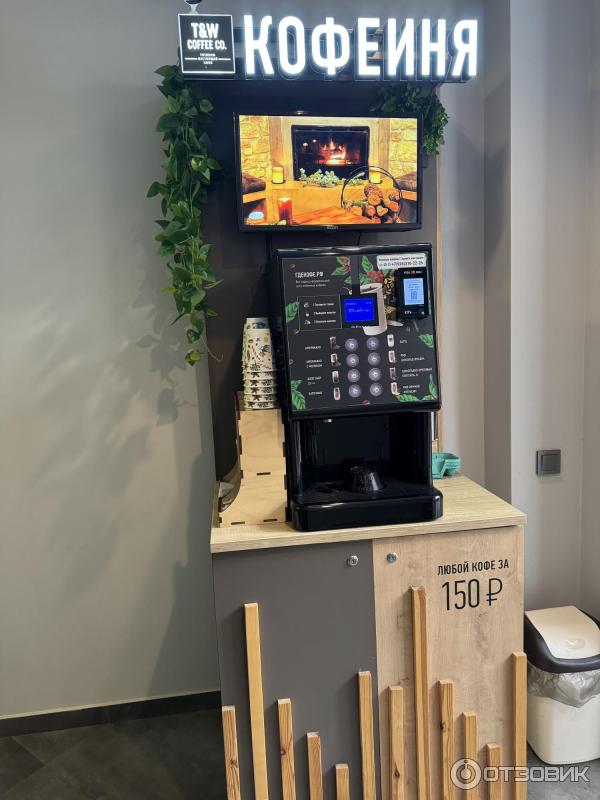 Отзыв о Гостиница Rose Del Mare (Россия, Сочи) | Нас устроило все.