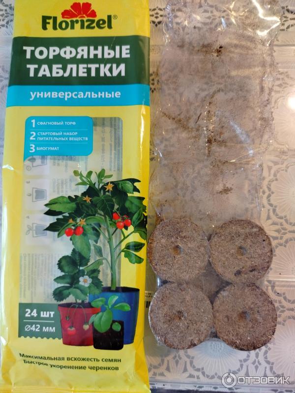 Отзыв о Торфяные таблетки Florizel Универсальные | Хорошие торфяные ...