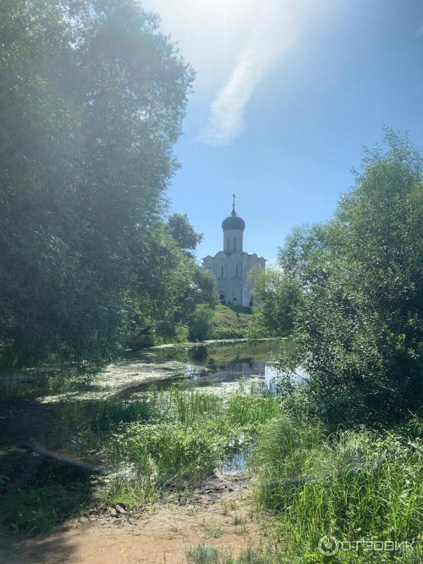 Отзыв о Церковь Покрова на Нерли Россия Владимирская область место Силы
