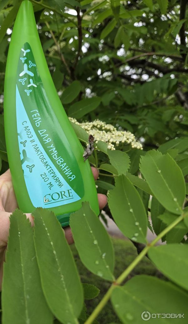 Отзыв о Гель для умывания Le Core с алоэ и лактобактериями | Мягкое ...