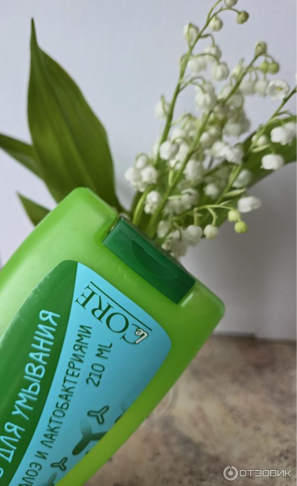 Отзыв о Гель для умывания Le Core с алоэ и лактобактериями | Мягкое ...