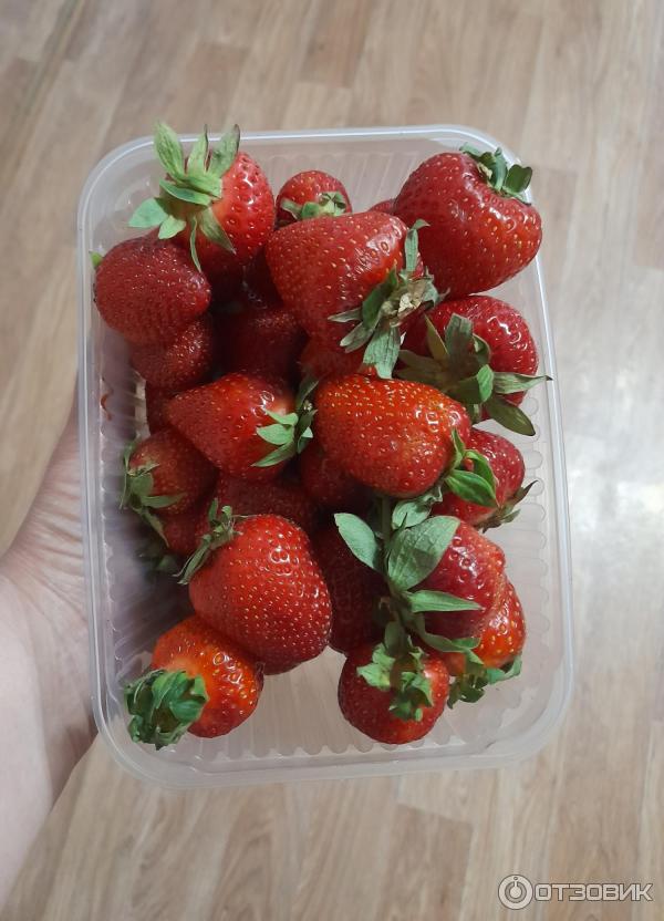Отзыв о Клубника свежая King Fresh | Просто отличная клубника!